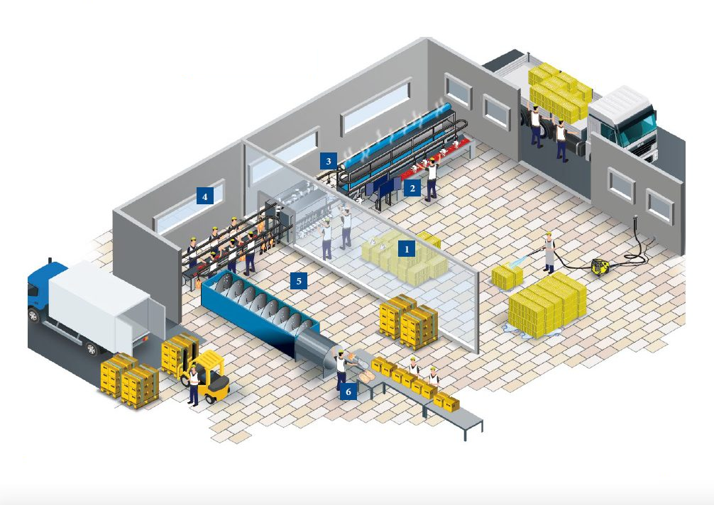 Home - Lina Import Export Spol s.r.o | Czech FMCG Supplier